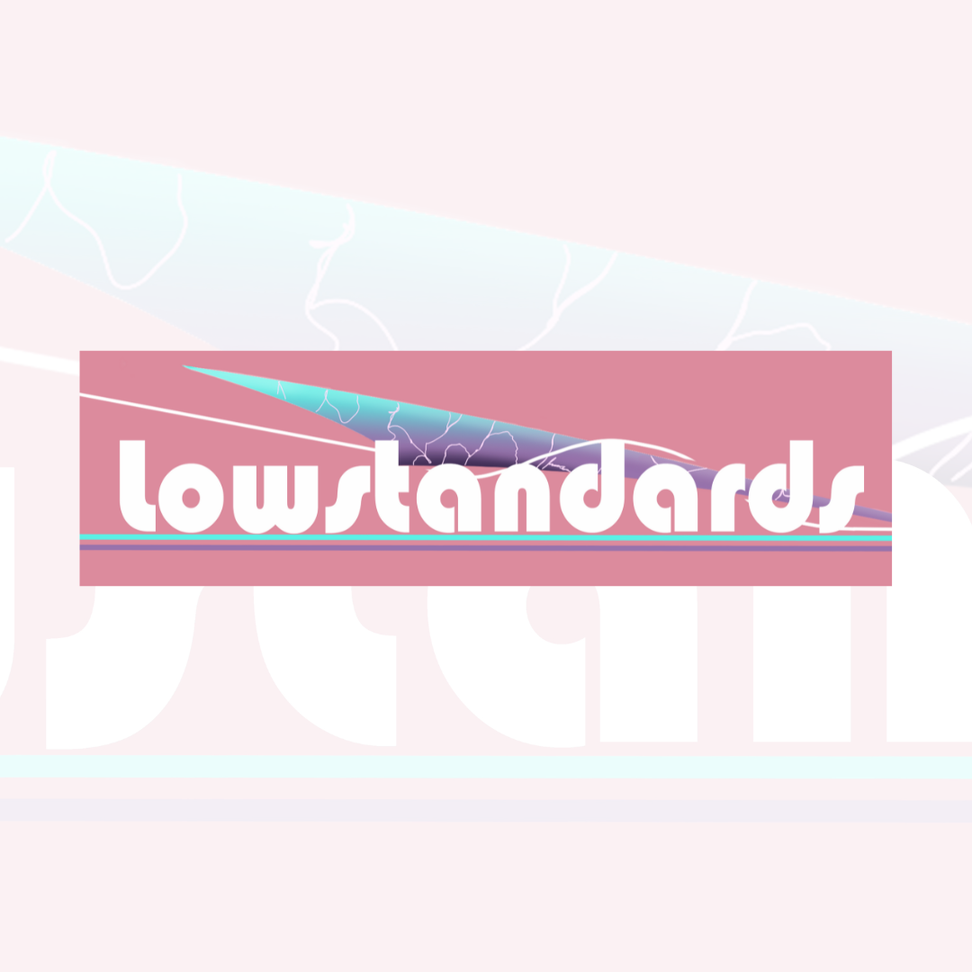 LOW STANDARDS - PINK- STICKER